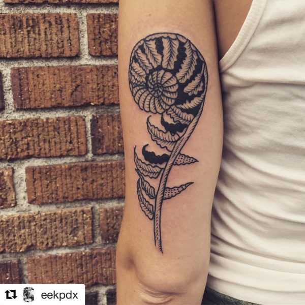 50 Fern Tattoo Designs with Meaning - Good Art Design